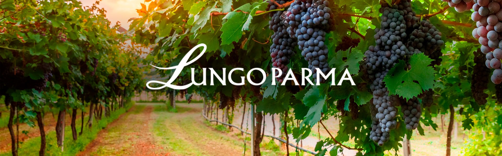 Homepage | Gandolfi Parma